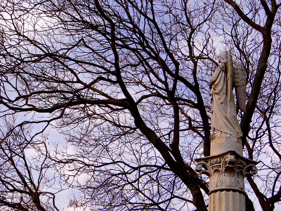 Tu B’Shevat Tree Tour of West Laurel Hill Cemetery - Jewish American ...